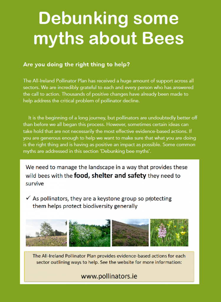 Debunking some myths about bees » All-Ireland Pollinator Plan