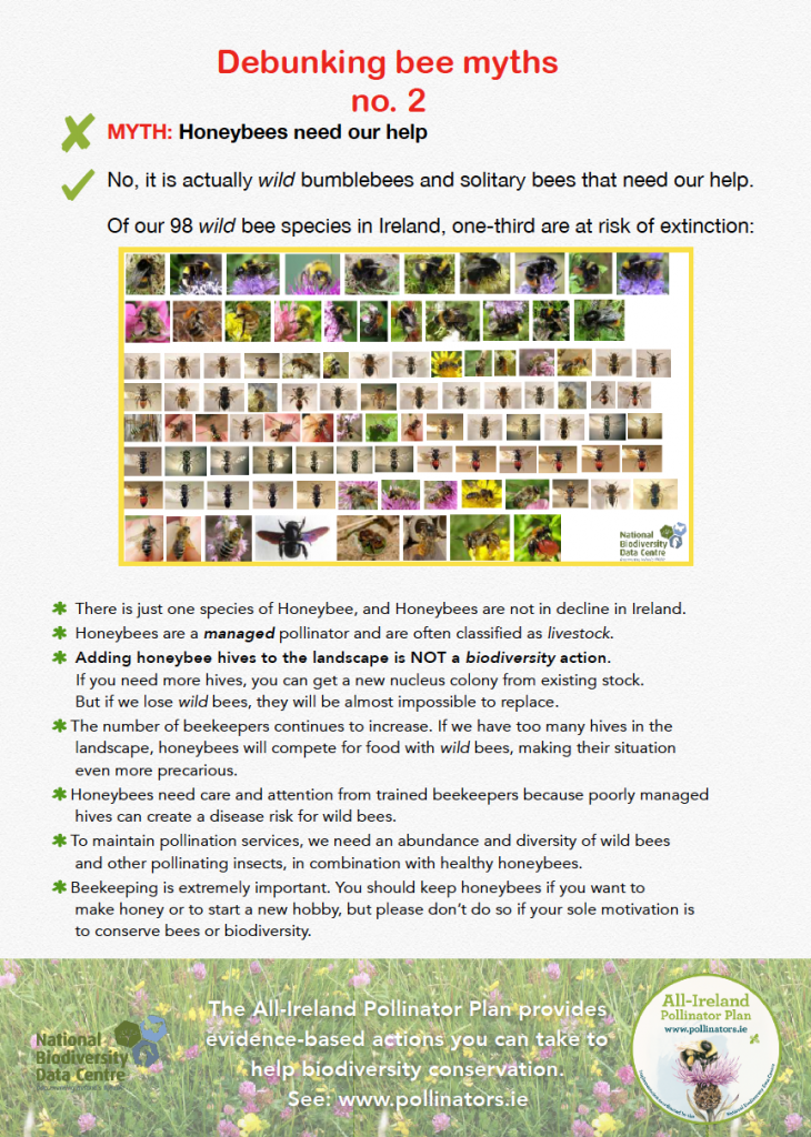 Debunking some myths about bees » All-Ireland Pollinator Plan