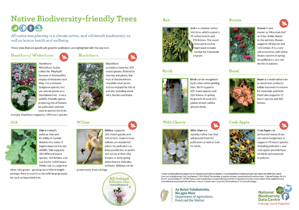Pollinator-friendly Planting Schemes » All-Ireland Pollinator Plan