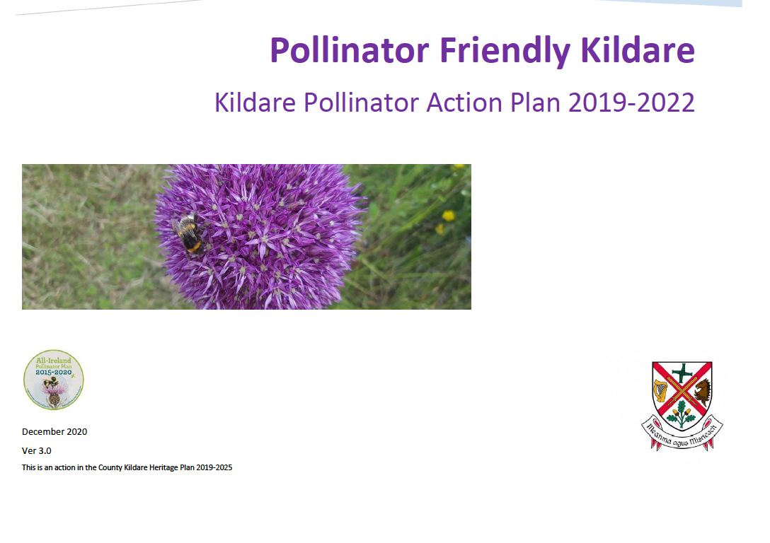 New Pollinator Action Plan for Co Kildare » All-Ireland Pollinator Plan