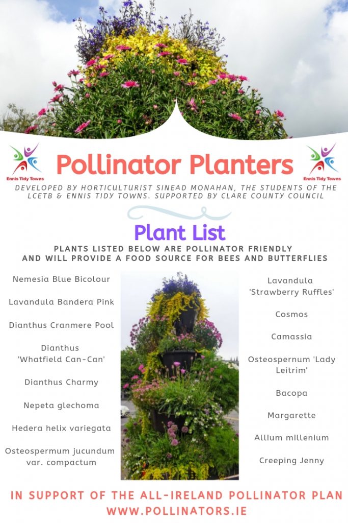 Pollinator-friendly Planting Schemes » All-Ireland Pollinator Plan