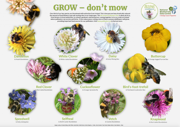 Signs » All-Ireland Pollinator Plan