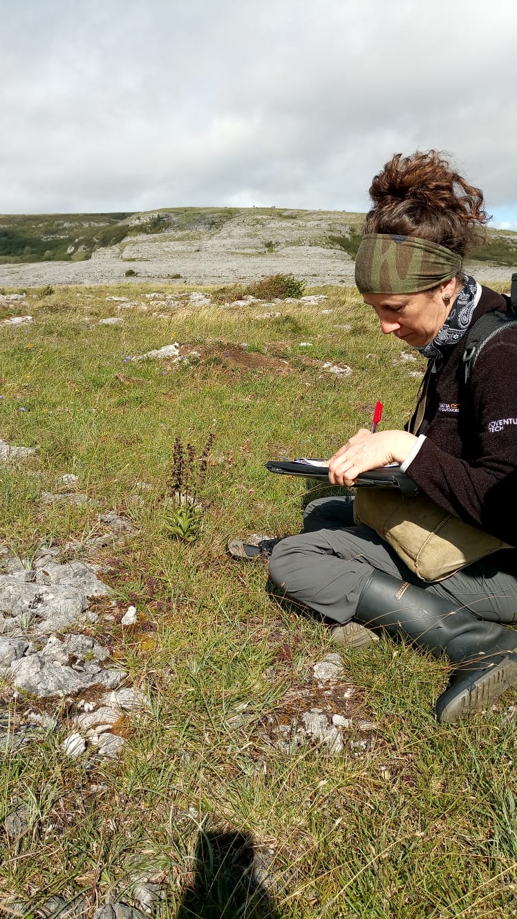 Celebrating native meadows » All-Ireland Pollinator Plan
