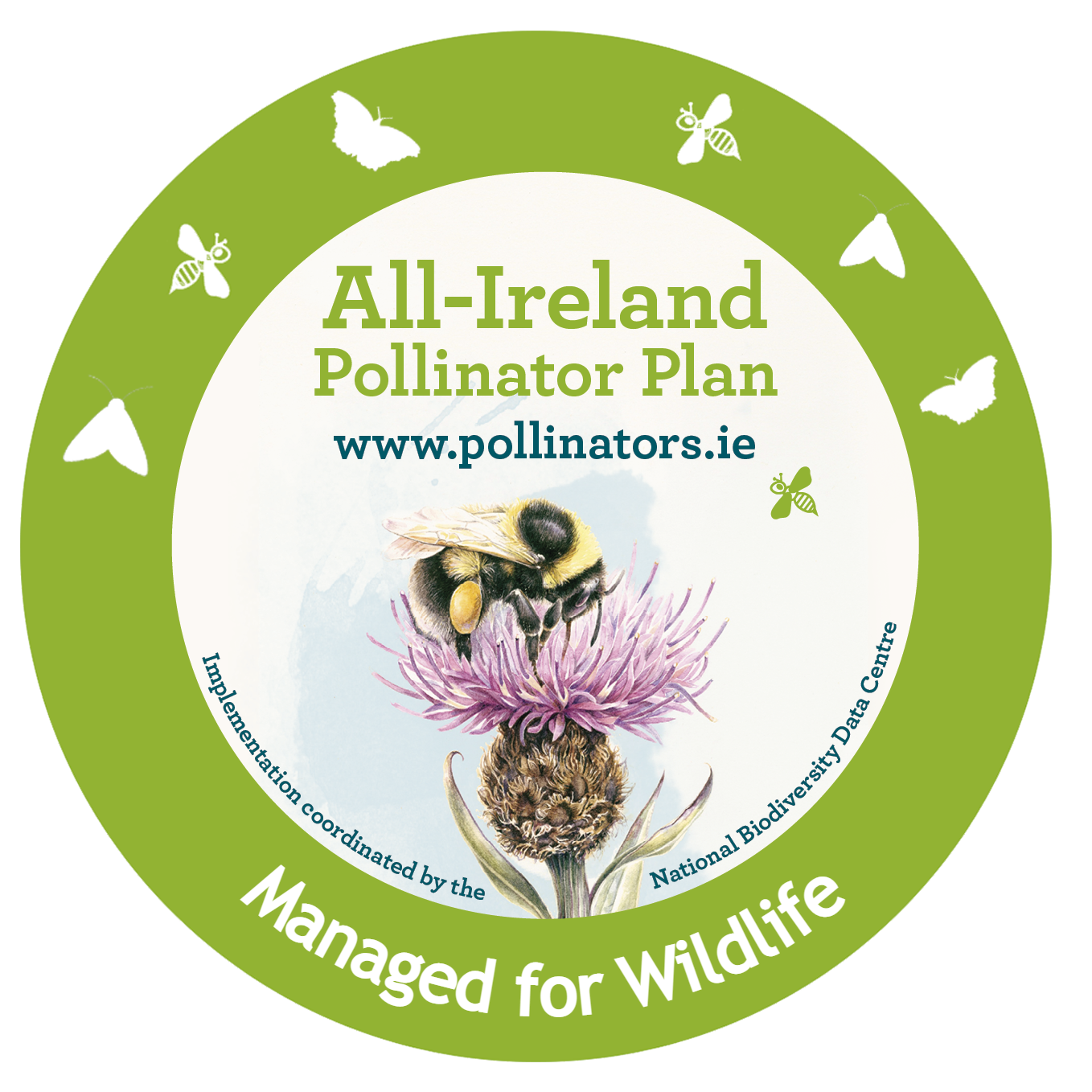 Resources » All-Ireland Pollinator Plan