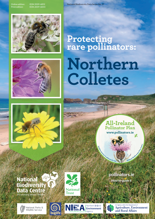 Resources » All-Ireland Pollinator Plan