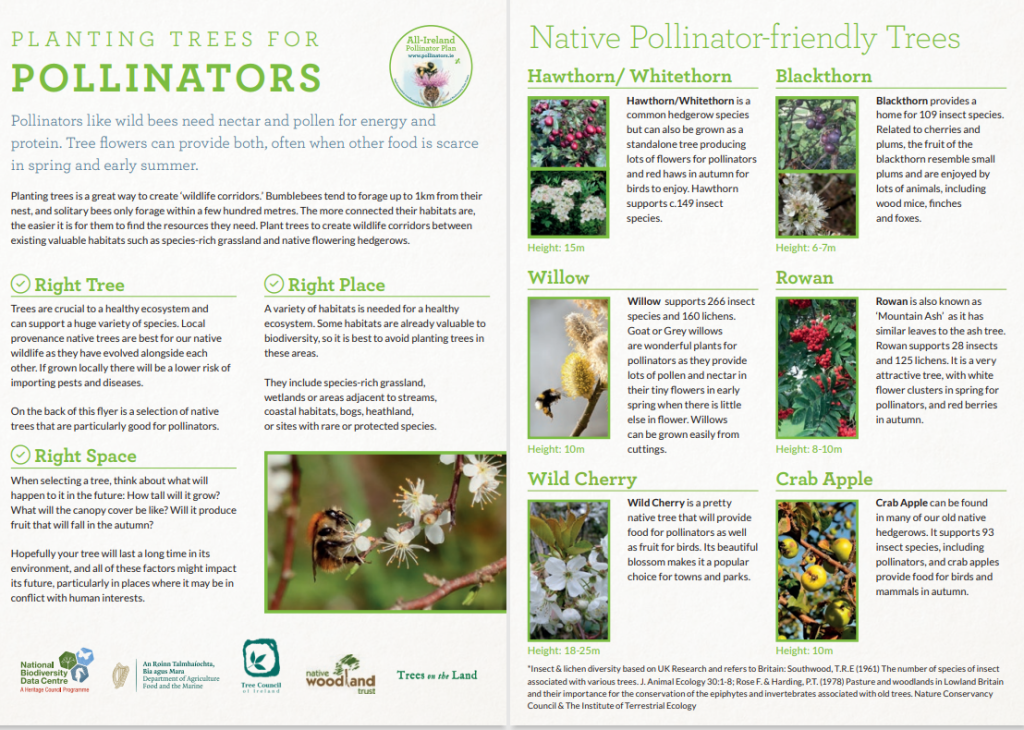 Planting Trees for Pollinators » All-Ireland Pollinator Plan