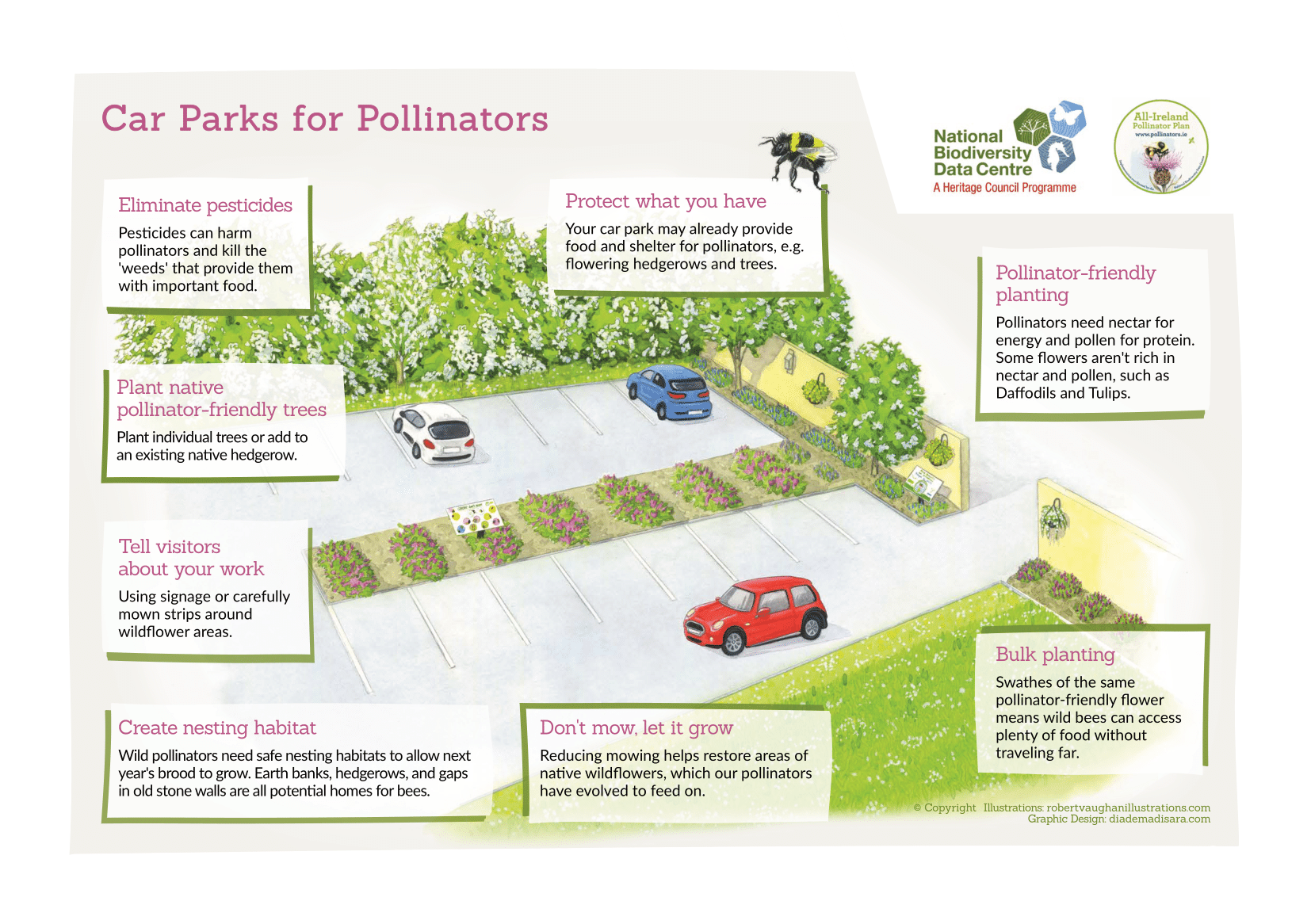How Car Parks can Help Pollinators » All-Ireland Pollinator Plan