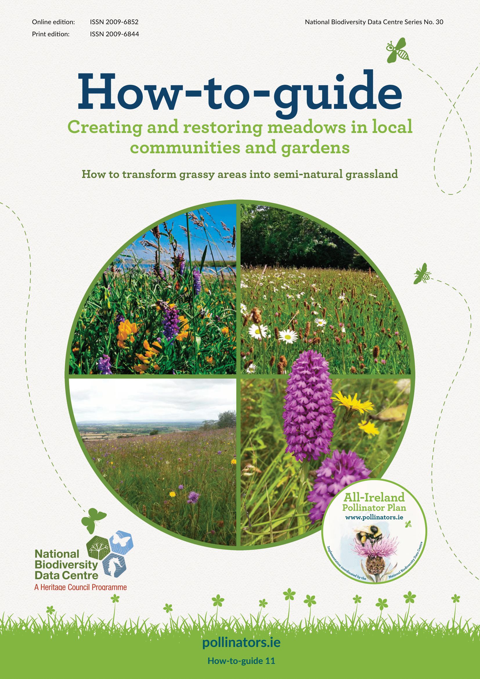 Celebrating Meadows: new free resources » All-Ireland Pollinator Plan