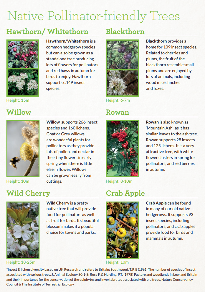 Resources for business » All-Ireland Pollinator Plan