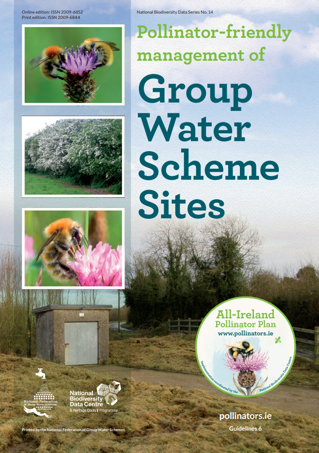 Resources for business » All-Ireland Pollinator Plan