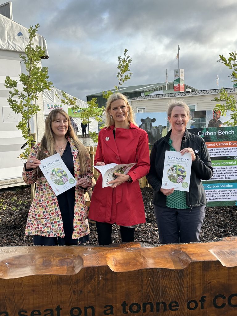 New ‘How-To-Guide: Traditional Orchards and Fruit Trees for Pollinators ...