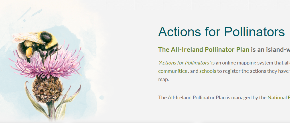 *Map, track & measure » All-Ireland Pollinator Plan