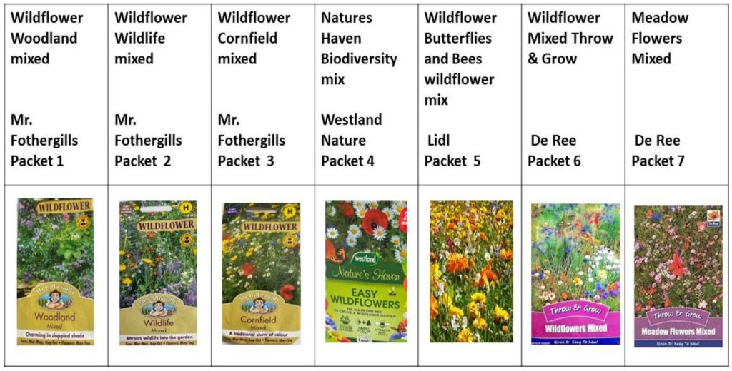 What’s Really in Your Wildflower Seed Mix? » All-Ireland Pollinator Plan