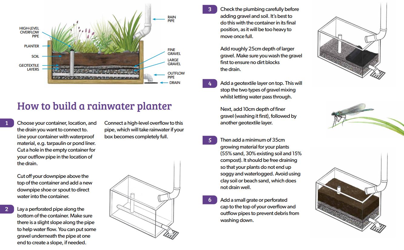 New resource: Rainwater planters for pollinators » All-Ireland ...