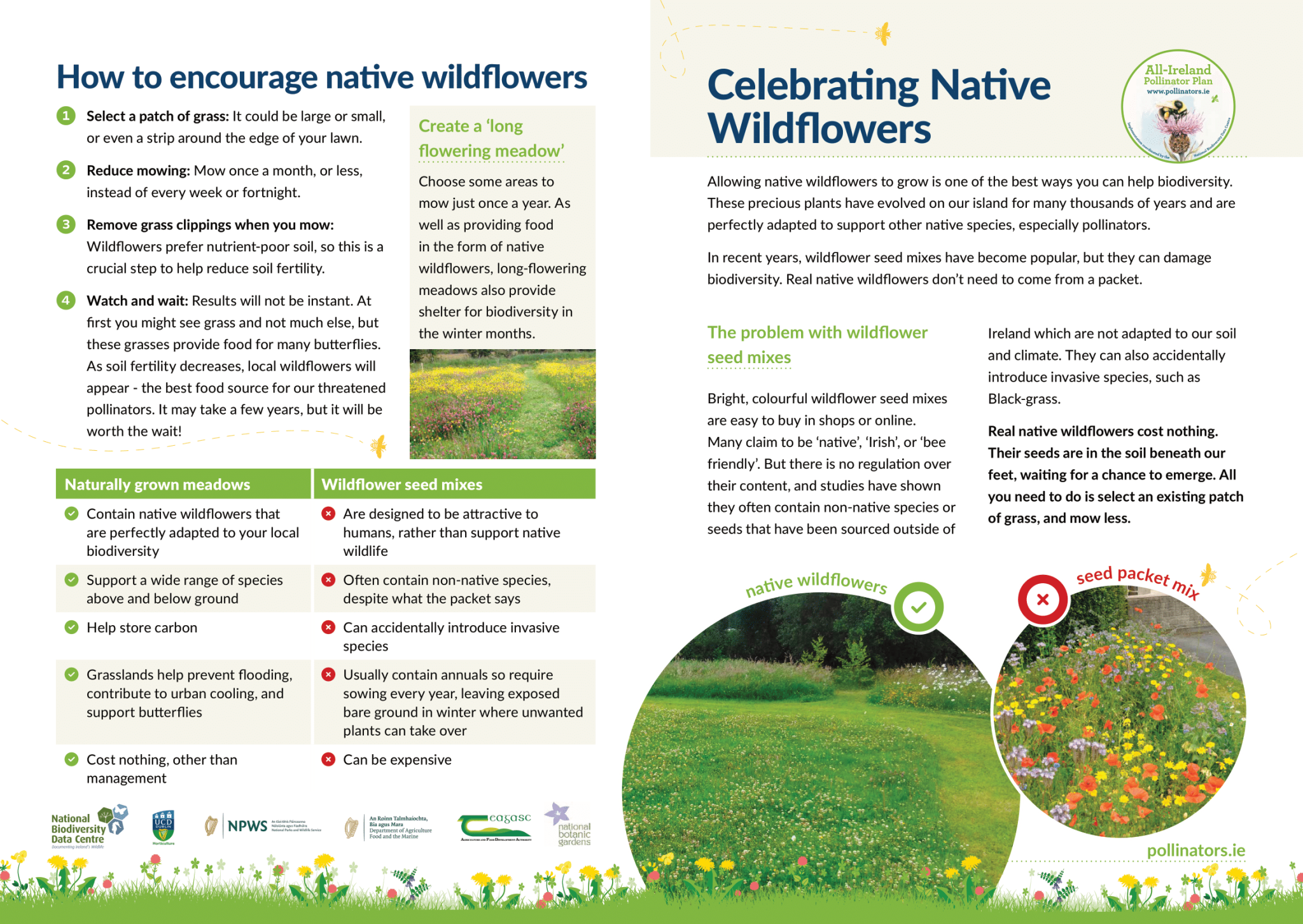 New resource: Celebrating native wildflowers » All-Ireland Pollinator Plan