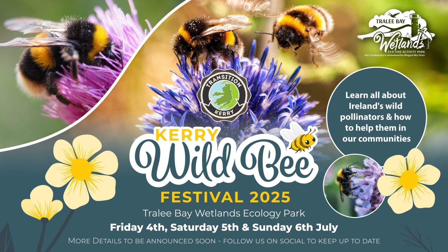 Wild Bee Festival » All-Ireland Pollinator Plan